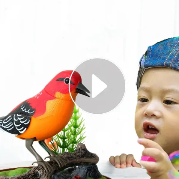 Phụ kiện bàn mô phỏng chim điện Talking Jay, Đồ chơi điều khiển âm ...