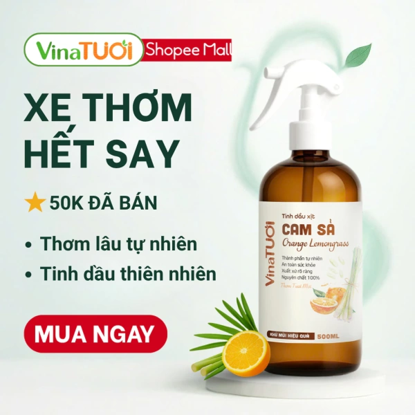 Mùi hương thiên nhiên trong xe có thực sự làm giảm cảm giác say sau ...
